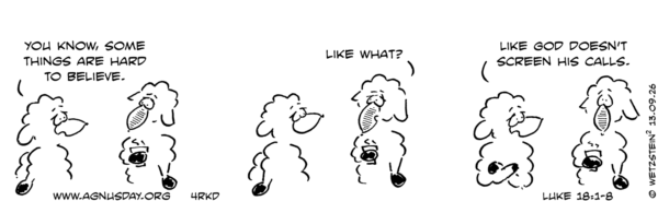 RKD Agnus Day Comic Strips - Camp Arcadia